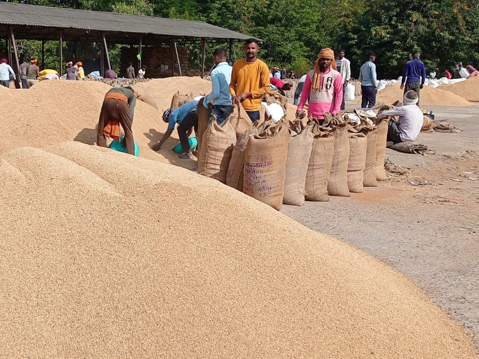 Thin paddy purchased as thick paddy in paddy purchasing center GPM ...