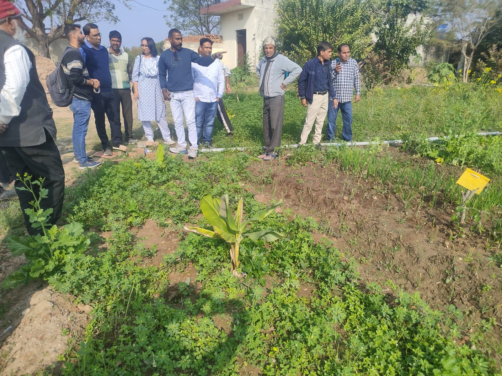 NABARD officials inspected organic farming | नाबार्ड के अधिकारियों ने ...