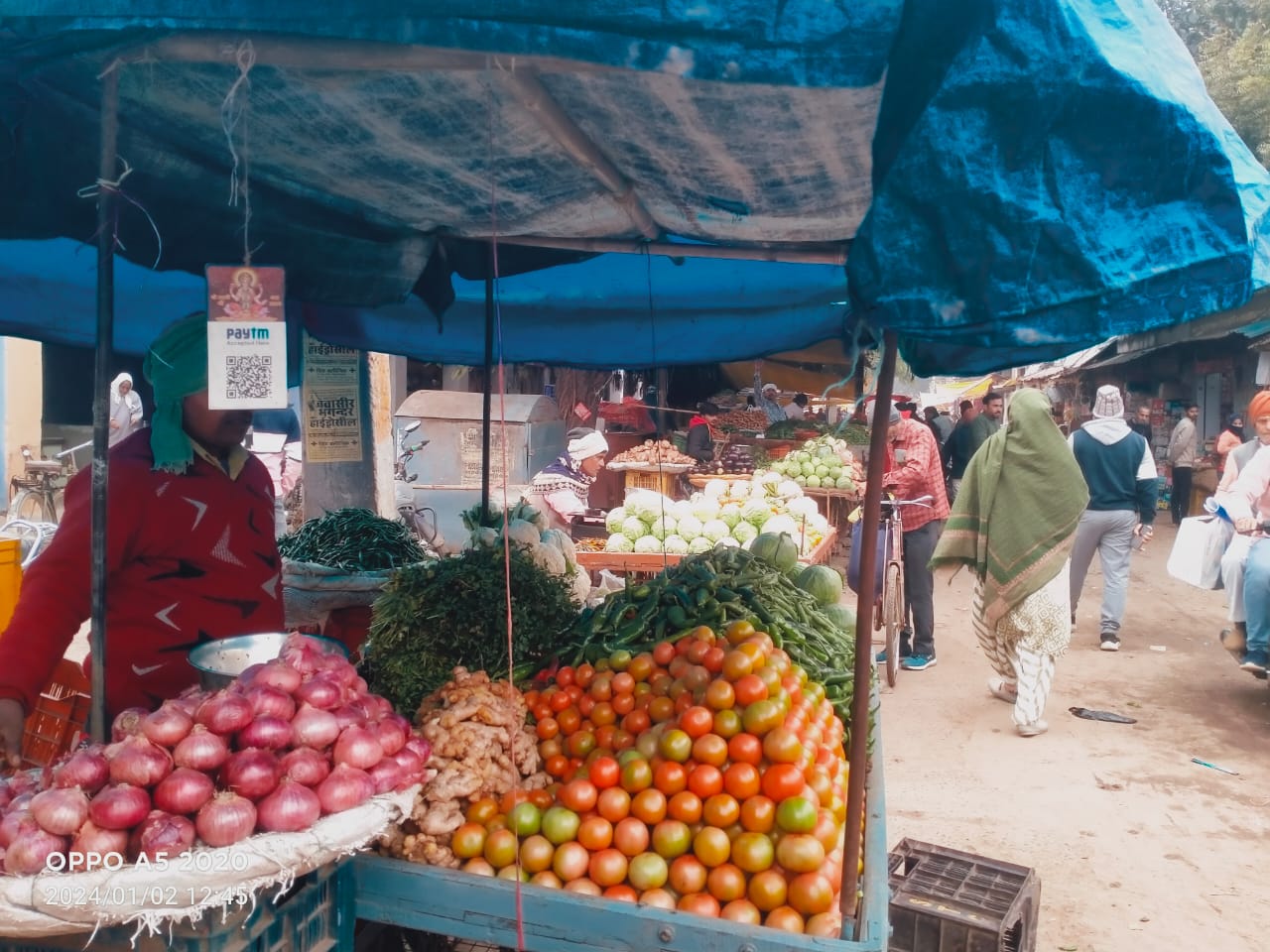 Bhind market affected, peas and chilli rates doubled, bus stand ...