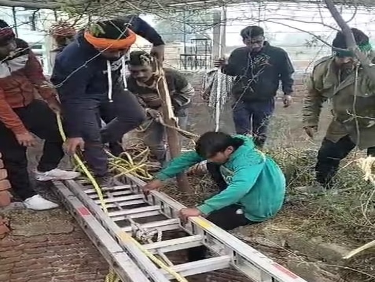 Haryana Rohtak Meham well kitten Rescue video update | रोहतक में बिल्ली ...