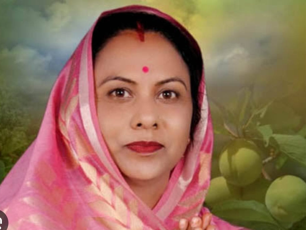 Multai Napa President's chair will remain vacant | मुलताई नपा अध्यक्ष ...