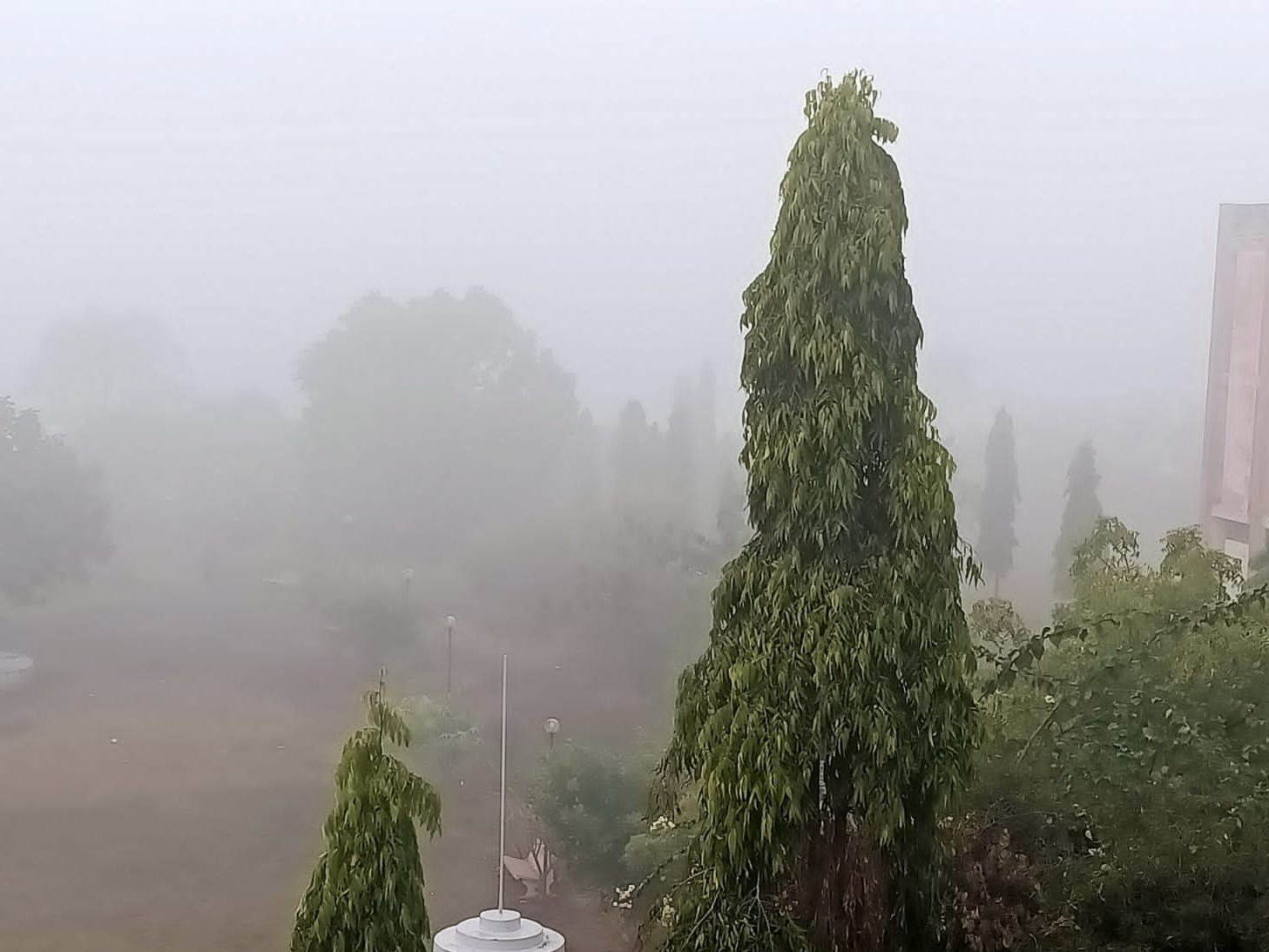 Chilly sea due to rain, fog and cold | बारिश, कोहरा और ठंड से ठिठुरा ...
