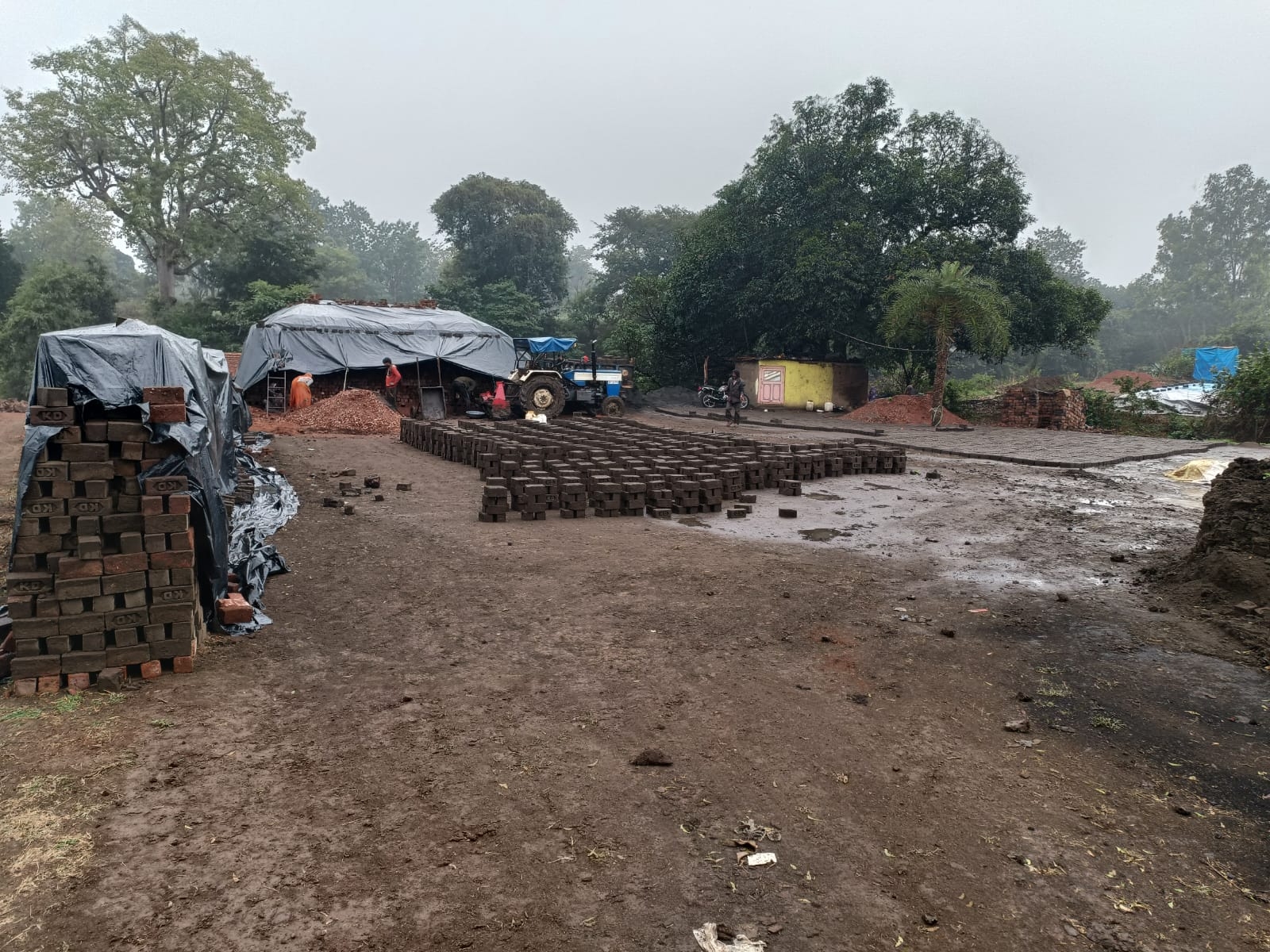 The weather became cool due to the fall of Mawatha in Badnawar ...