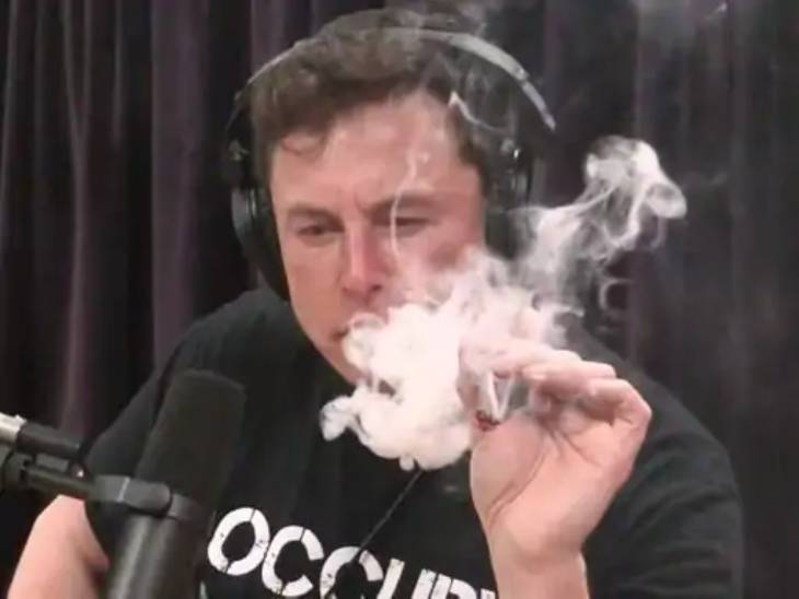 Elon Musk CTO X (Twitter); Chief Troll Officer To Chief Meme Officer ...