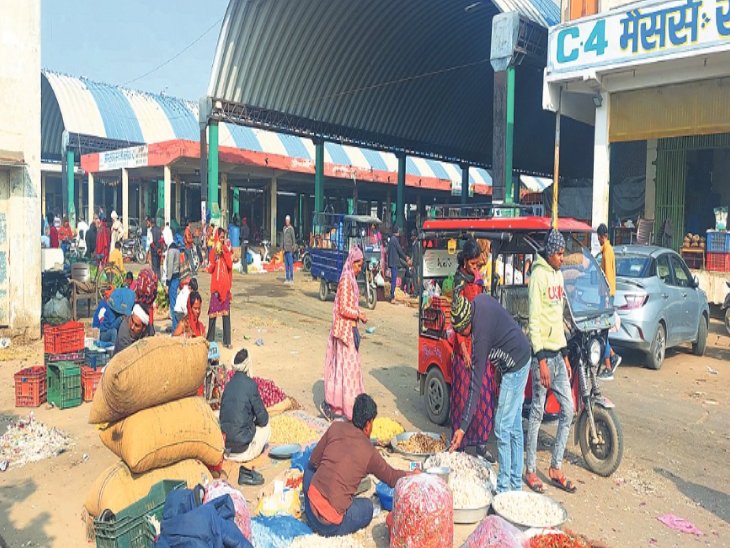 Chauth recovery in Muhana Mandi | मुहाना मंडी में चौथ वसूली: 100 ...