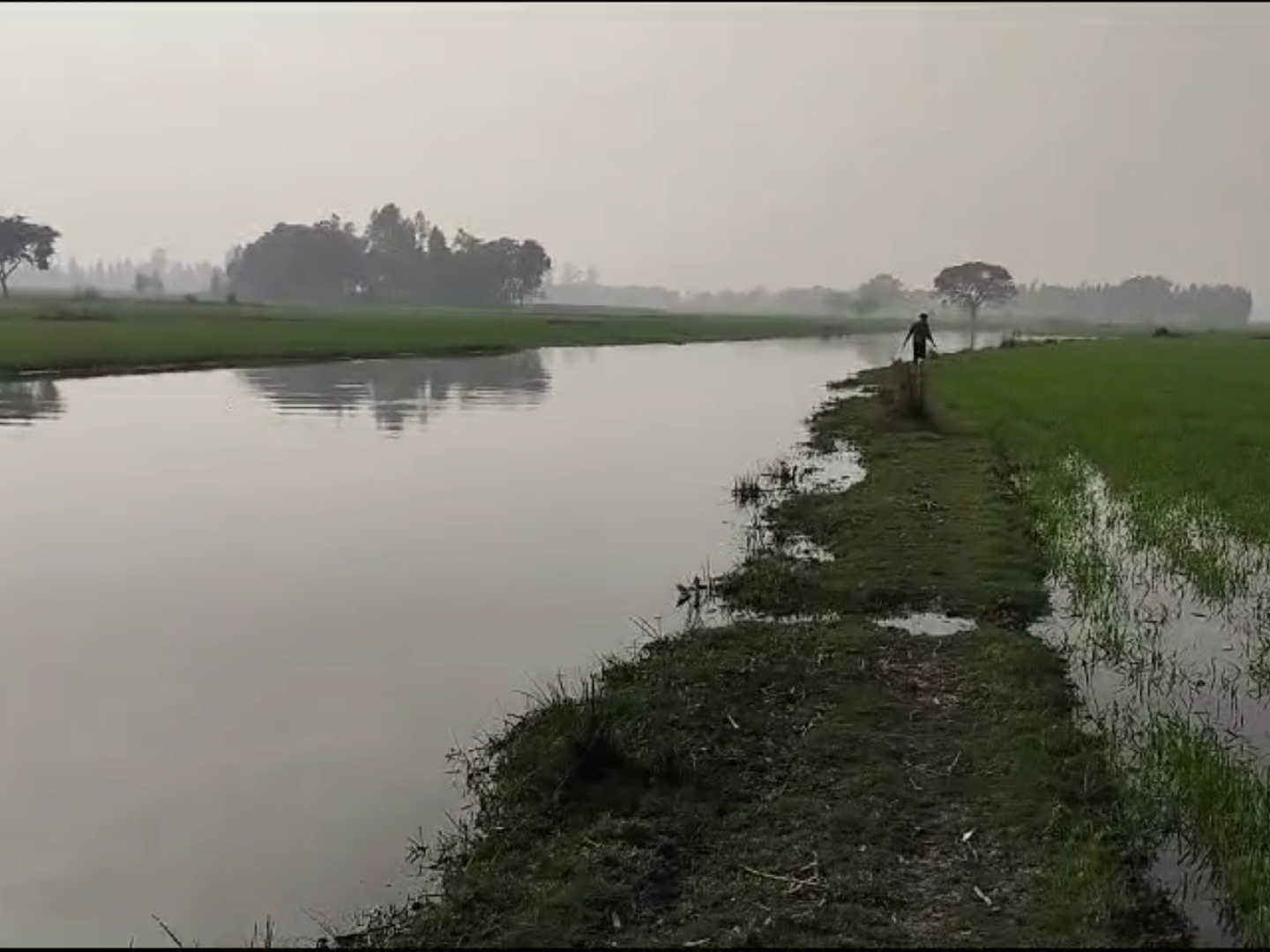 Erosion in Sai River | सई नदी में हुआ कटाव: सैकड़ों बीघा फसल हुई जलमग्न ...