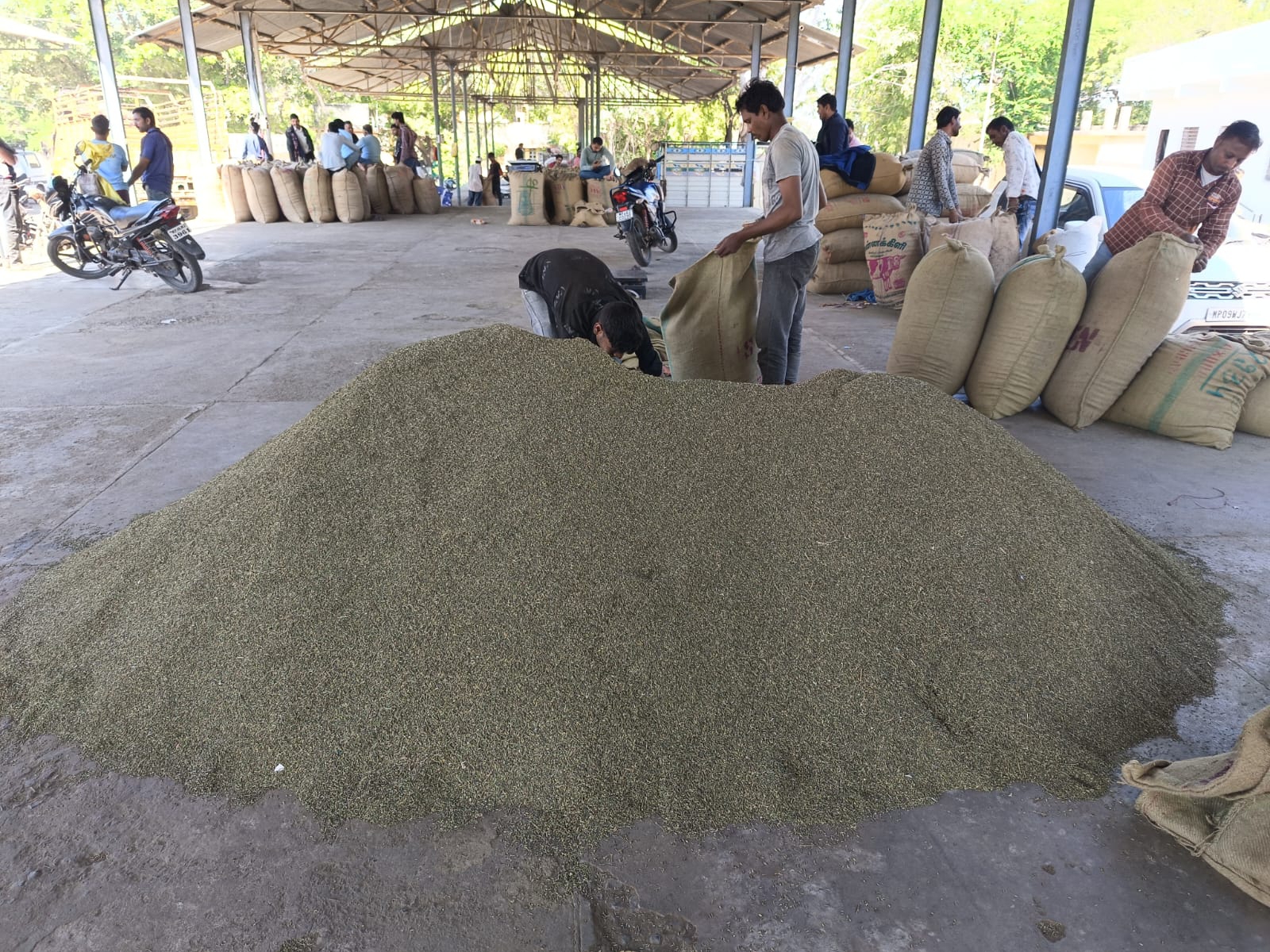 smell of fennel increased in the agricultural produce market of Barwani ...