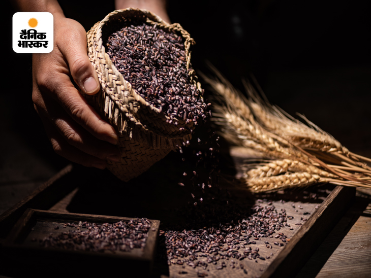 The Rice Story: Interesting Historical facts, and Cultural and ...