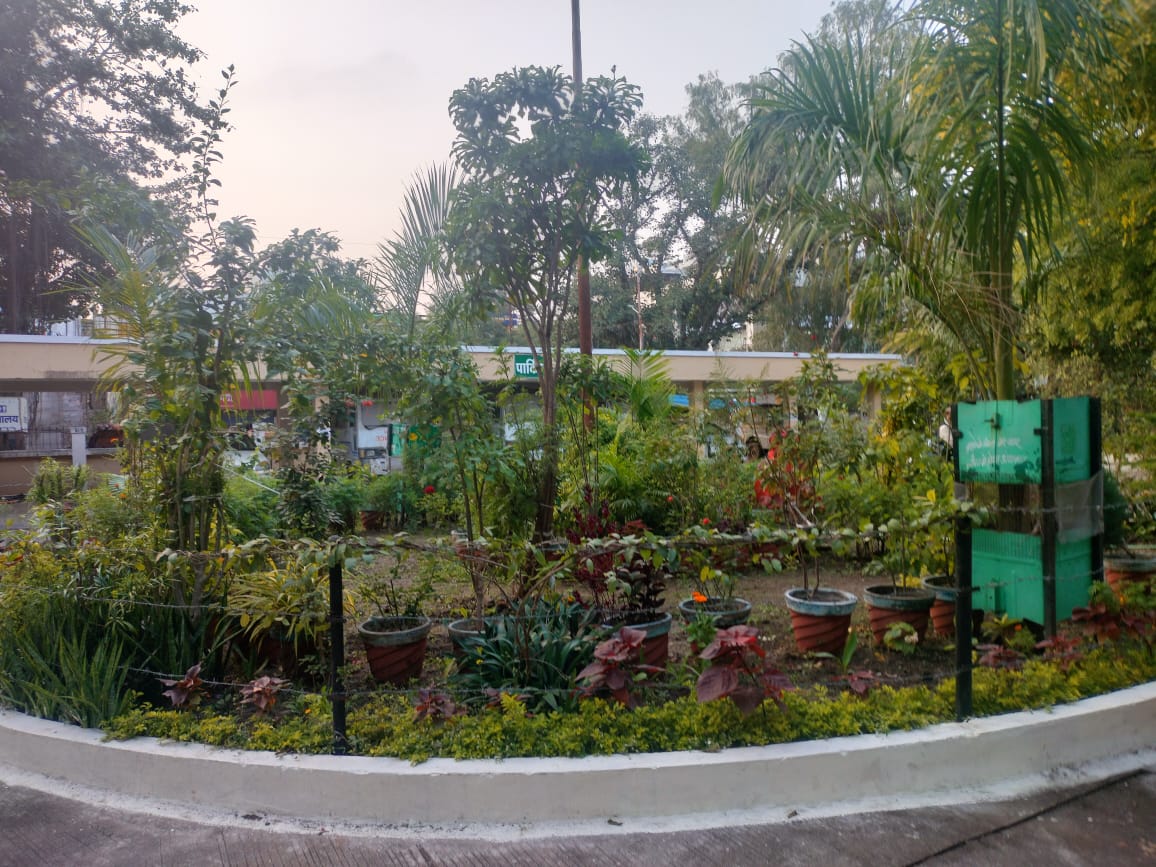 Doctors and staff of Madhavnagar Hospital are building four gardens at ...