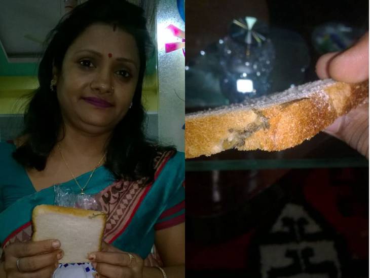 Lizard found in modern bread, will have to pay compensation | इंदौर में ...