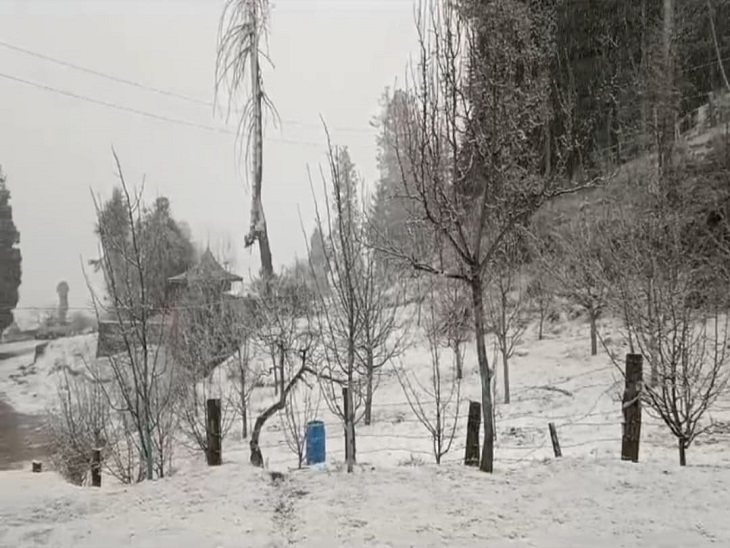 Shimla: Snowfall Narkanda Himachal weather forecast IMD | शिमला के ...