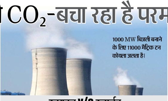 CO2 emitted from thermal plants is making the forests of Hadoti breathe ...