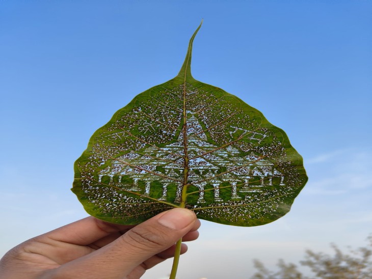 Braj land is drenched in Ram devotion, someone made Lord Ram on Peepal ...