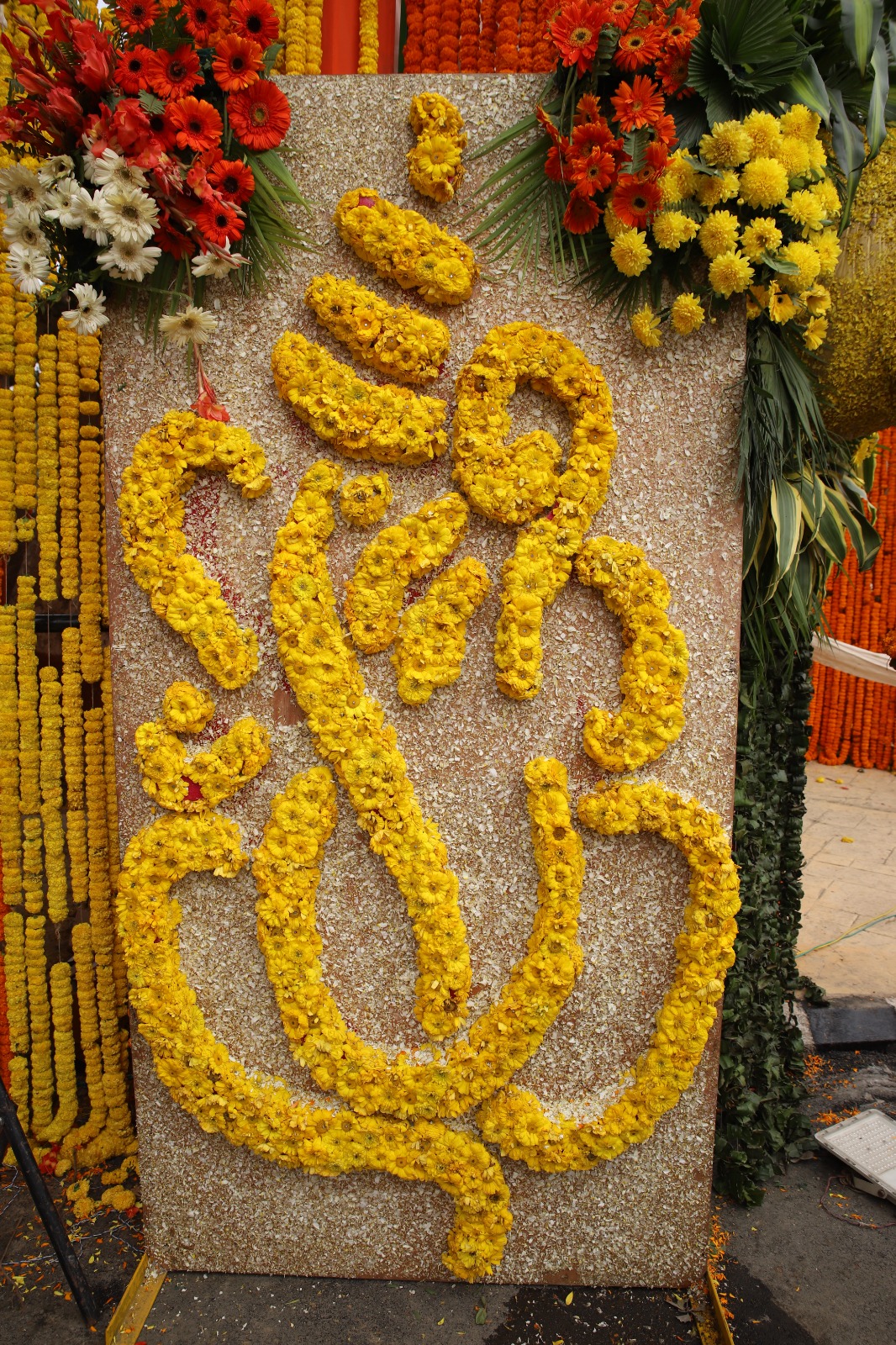 Ayodhya Ram Mandir Decoration Photos; Pran Pratishtha | Valmiki Airport