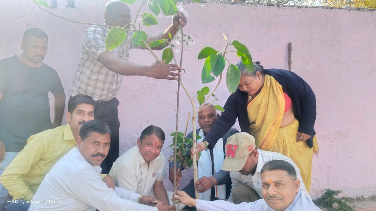 Tajpur: Social workers planted Triveni tree in the school premises ...
