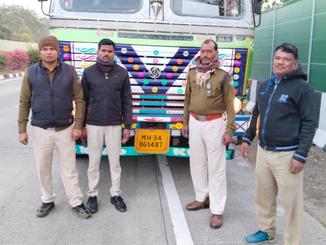 49 cattle seized by blocking near Pachdhar village, accused absconding ...