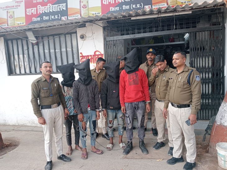 Major action by Rewa police,Rewa latest news | रीवा पुलिस की बड़ी ...