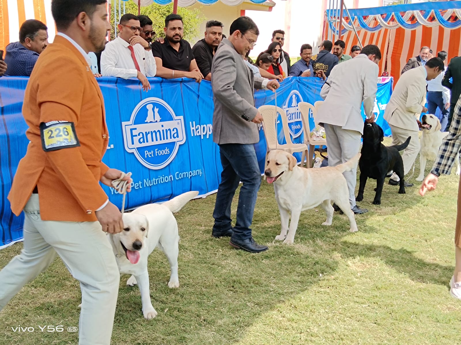 Watch National Mega Dog Show | देखें नेशनल मेगा ड़ाग शो: कई प्रजाति के ...