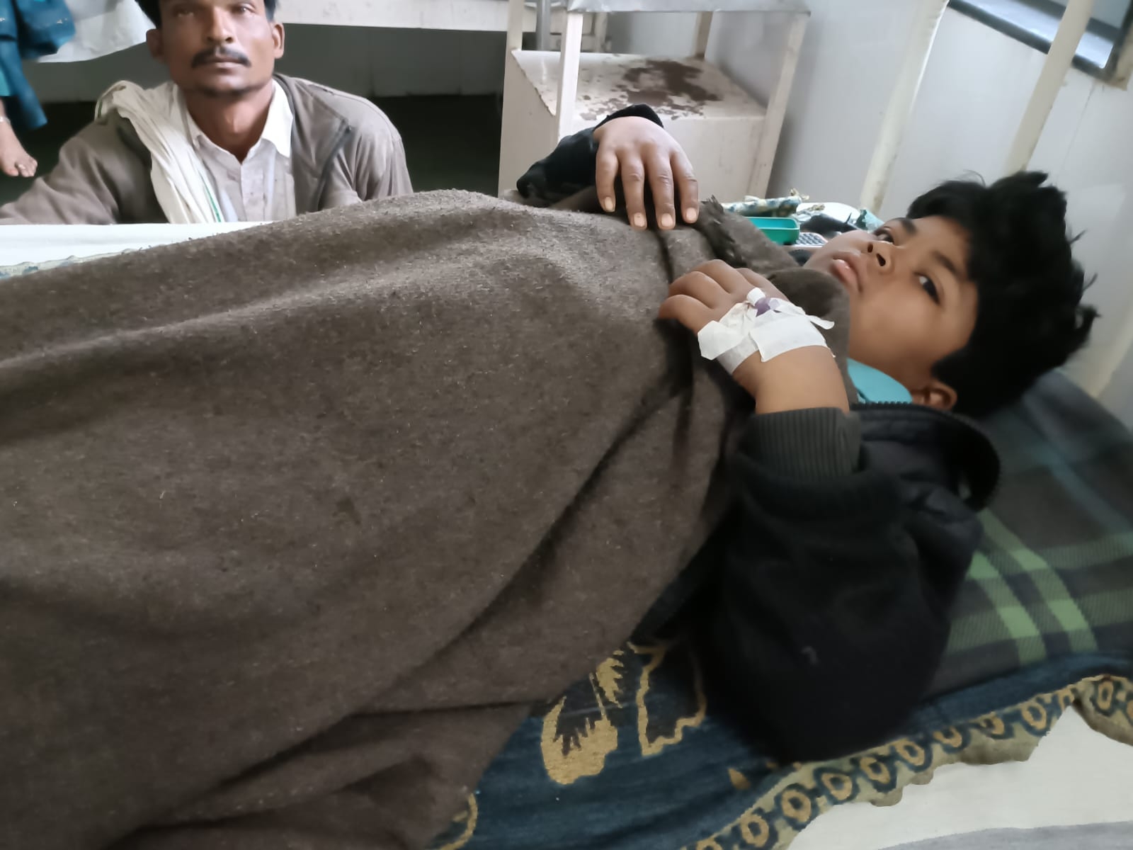 Betul - Wild pig attack on child. While going to the fields, he ran ...