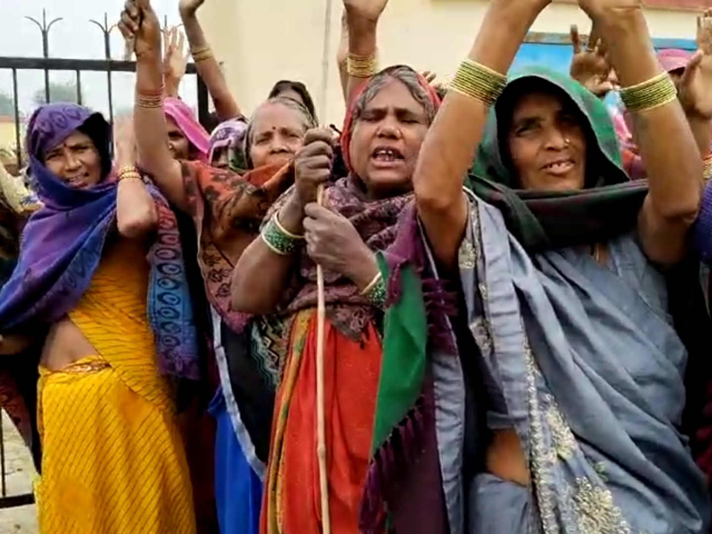 Farmers troubled by terror of stray animals in Pratapgarh | प्रतापगढ़ ...
