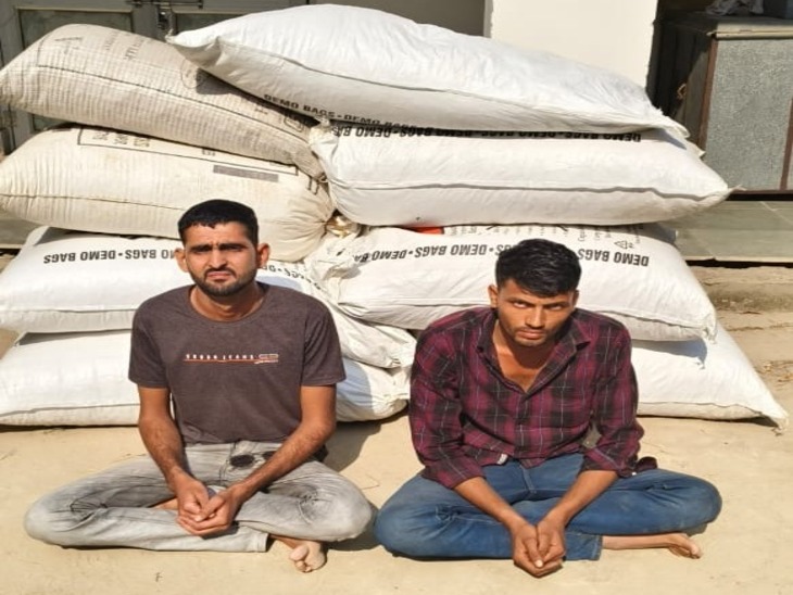 Case of illegal doda poppy recovery | नशे की खेप के साथ दो युवकों को ...
