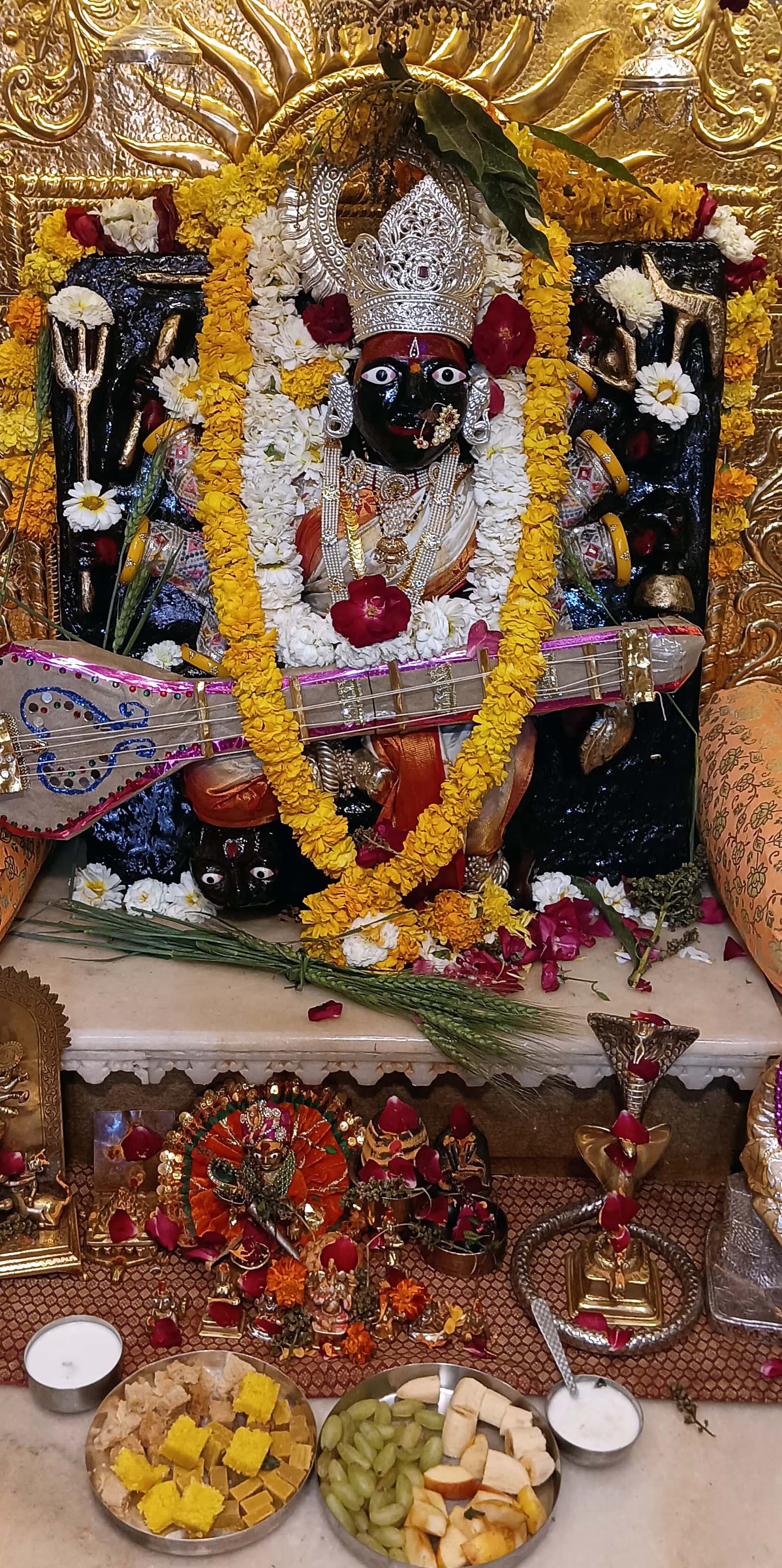 Bageshwari was decorated as Veenavadini | वीणावादिनी के रूप में हुआ ...