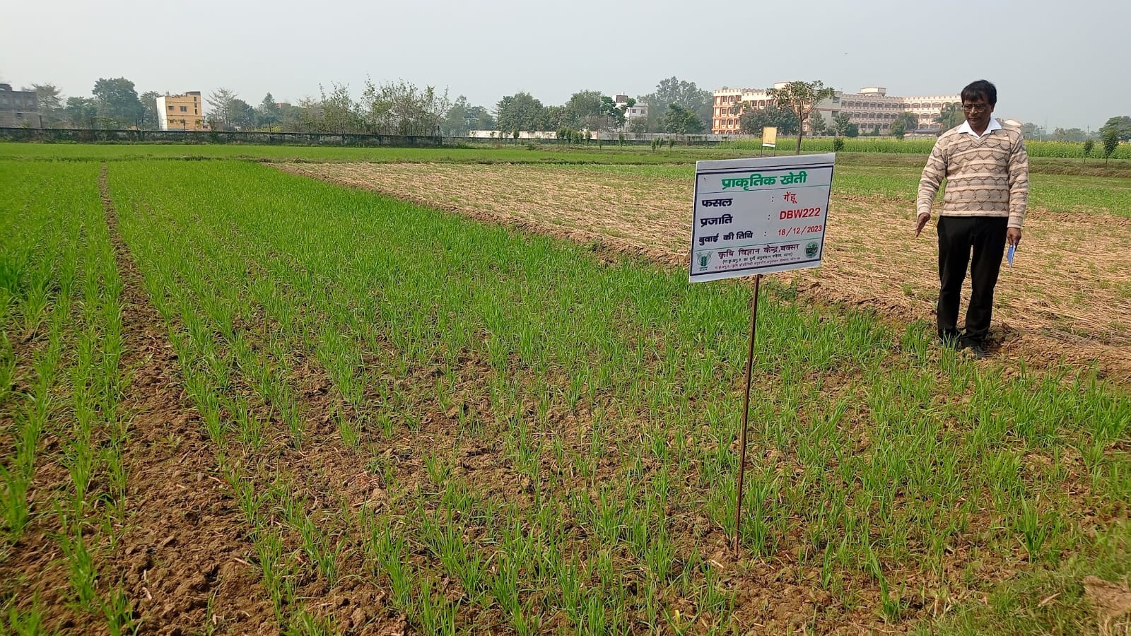 Natural farming is being done to save environment and human life ...