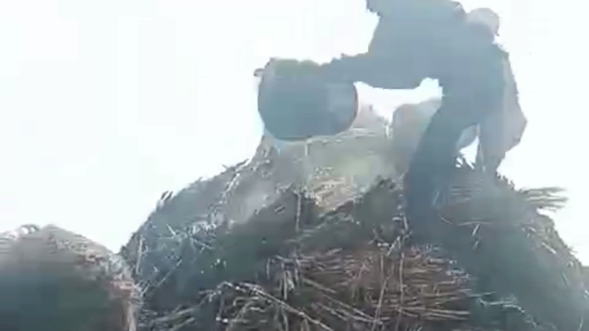 Fire broke out in a pile of straw in Dhanpuri village, caused damage