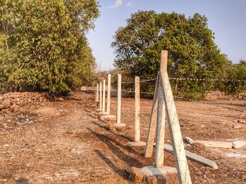 Ranger said - Wildlife can drink water by jumping the wire, Balod's ...