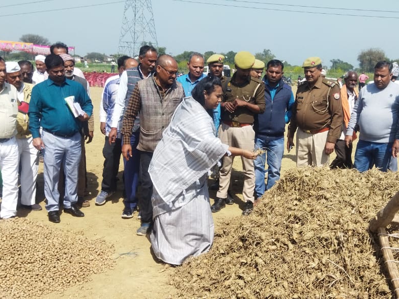 Turmeric processing unit inaugurated in Fatehpur | फतेहपुर में हल्दी ...