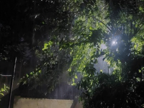 Weather patterns changed in Varanasi western disturbance