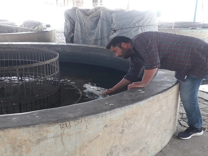 Sultan Fish Seed Farm; Haryana Karnal Fish Farming Farmer Success Story ...