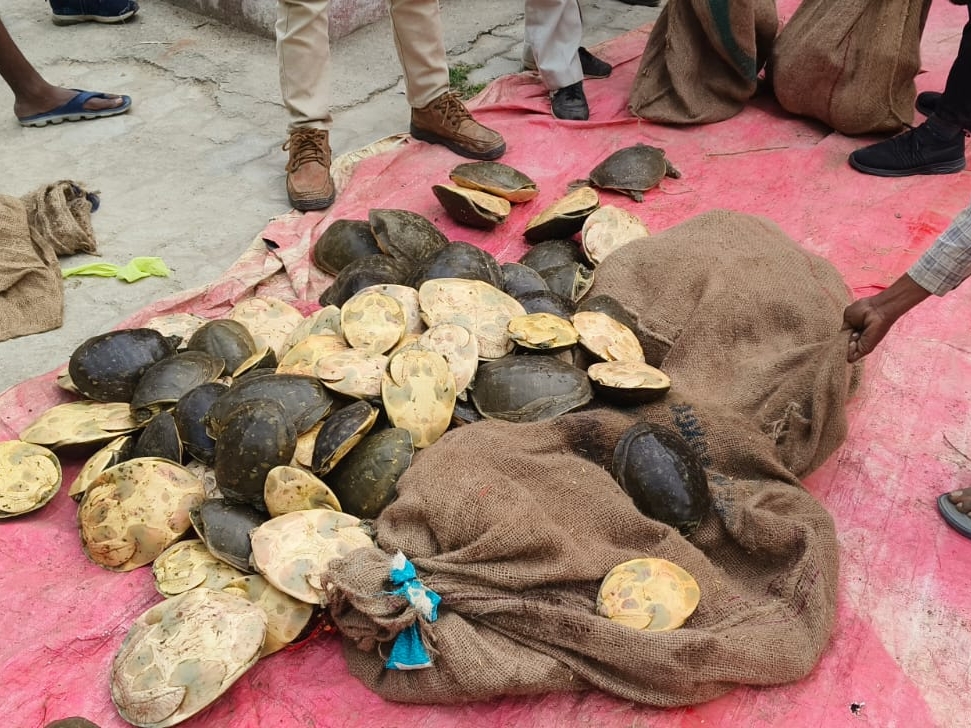 Latest Amethi District News (अमेठी जिला न्यूज़): पढ़ें 3 मार्च के ताज़ा ...