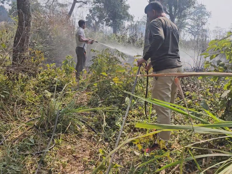BAGHA NEWS, BIHAR NEWS, Formation of Forest Fire Prevention Square in VTR. | VTR में फॉरेस्ट ...