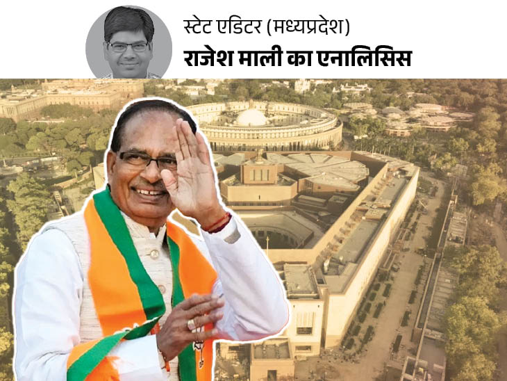 MP BJP Lok Sabha 2024 Candidates Political Story; Ashish Dubey Lata ...