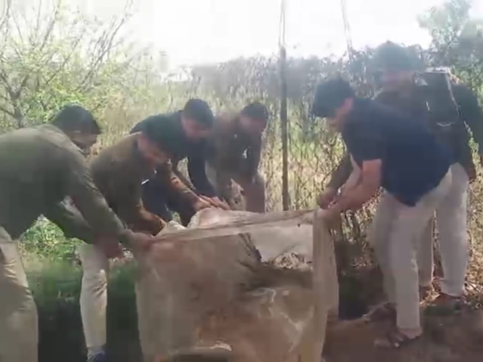 Tapukada police action on illegal liquor | अवैध शराब पर टपूकड़ा पुलिस की कार्रवाई: 12 लाख रुपए ...