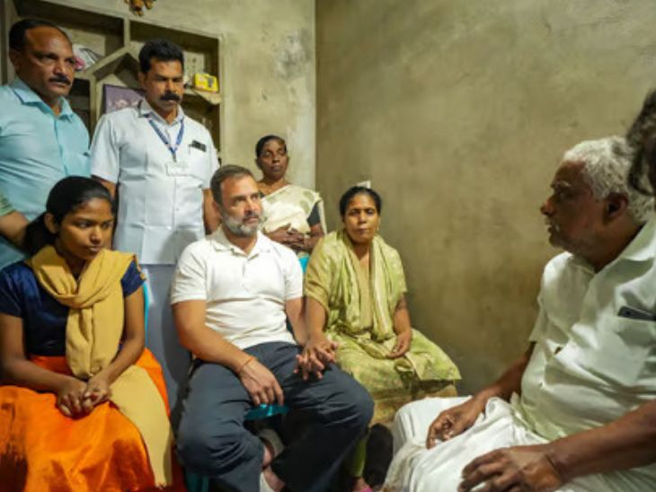 Kerala Wayanad Elephant Attack Case; Rahul Gandhi | Pulpally Forest ...