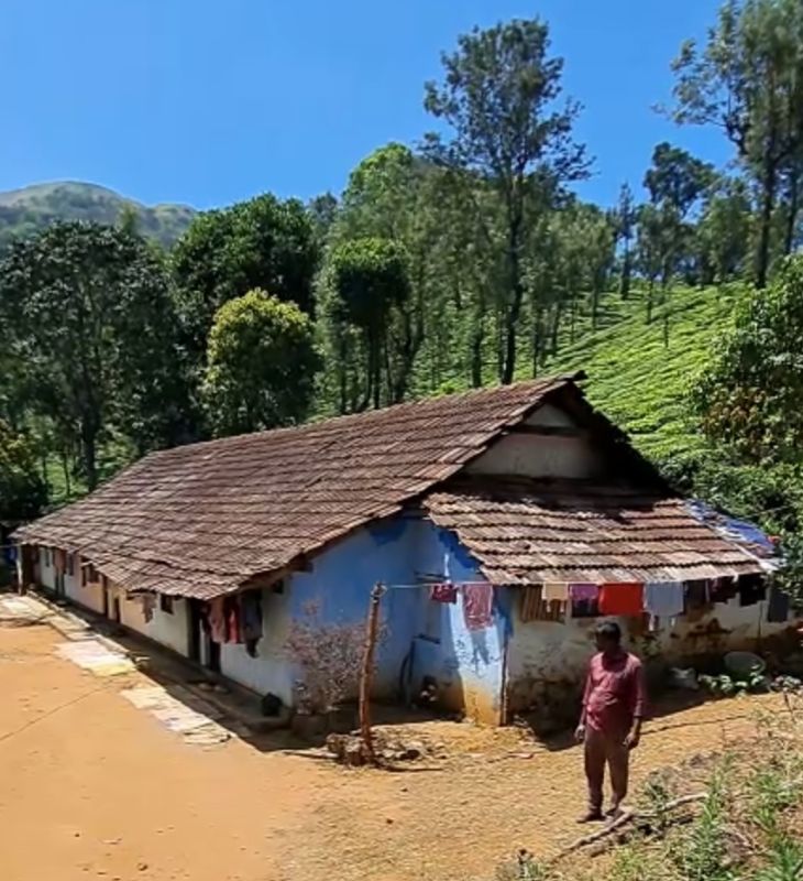 Kerala Wayanad Elephant Attack Case; Rahul Gandhi | Pulpally Forest ...