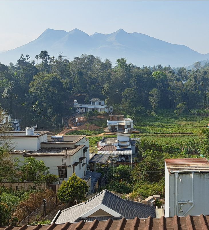 Kerala Wayanad Elephant Attack Case; Rahul Gandhi | Pulpally Forest ...