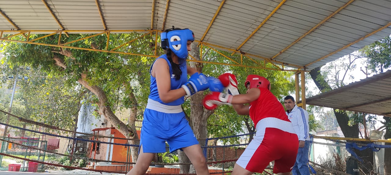 Secured place in state level competition by punching | पंच लगाकर राज्य ...