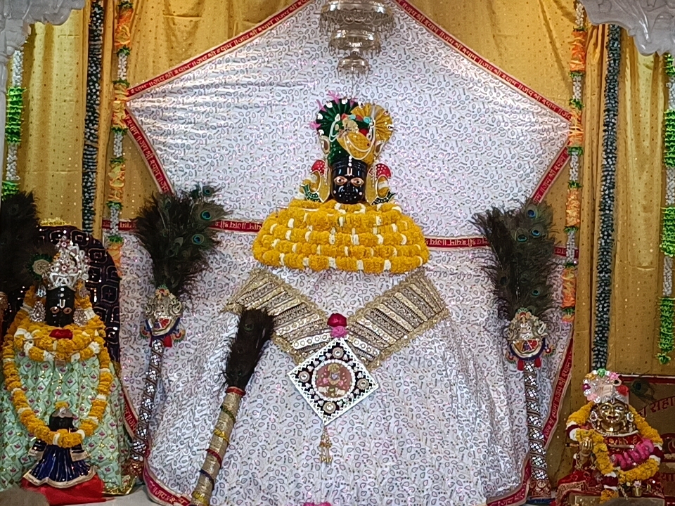 On Sunday, on the Amavasya of Phagun Shukla, a grand Nishan Yatra reached Shri Khatu Shyam ...