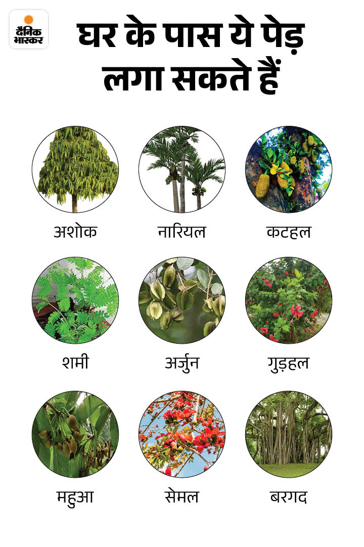 Astrology Vastu Shastra; Tree Plantation List (Ashoka Shami Tulsi ...