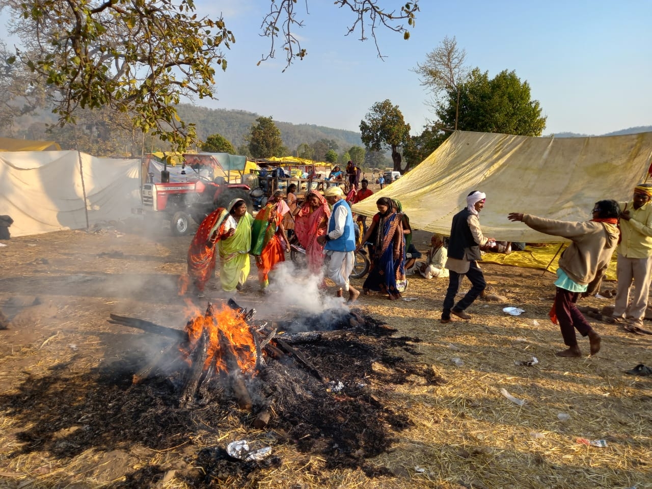 Introduction of Shimga in tribal areas. Will collect wood and sticks to ...