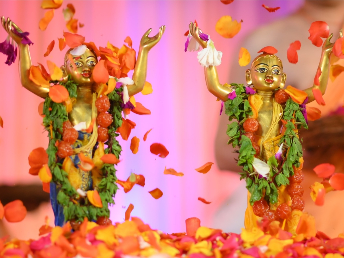 Holi celebration organized in Shri Krishna Balram Temple | श्रीकृष्ण ...