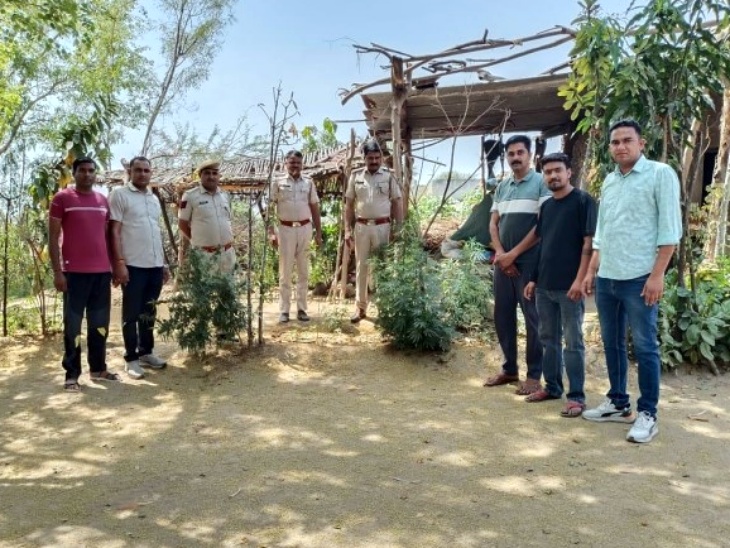 Latest rajsamand (kankroli) News (राजसमंद (कांकरोली) न्यूज़): पढ़ें 30 ...