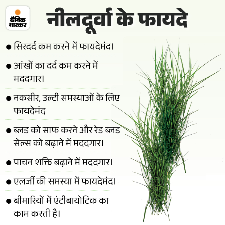 Ayurvedic Nashta; MP Barwani Doctor Lakhan Lal Kumawat (Aastha Alpahar ...