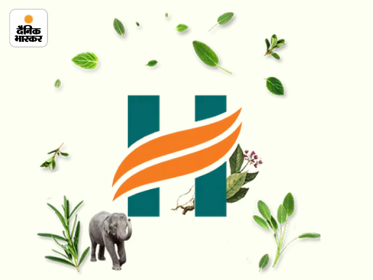 Himalaya Ayurveda Success Story; Mohammed Manal | Himalaya Revenue And ...
