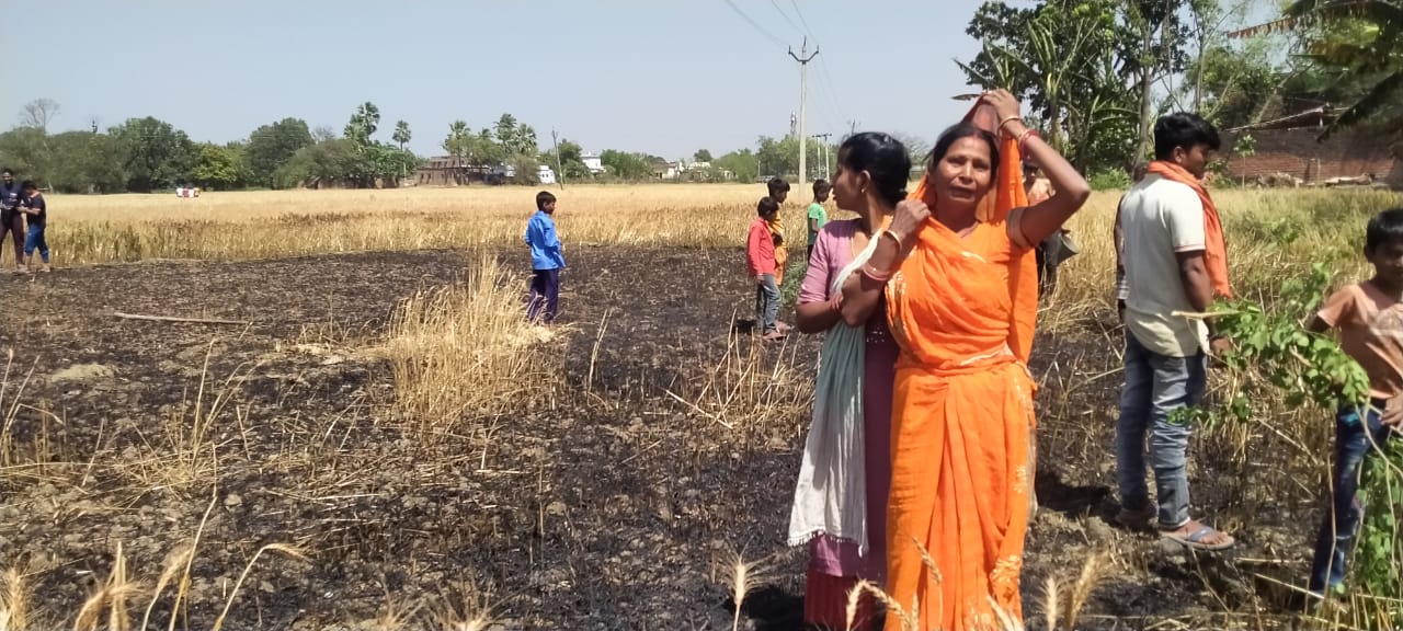 Fire caused by short circuit, crop destroyed | शॉर्ट सर्किट से लगी आग ...