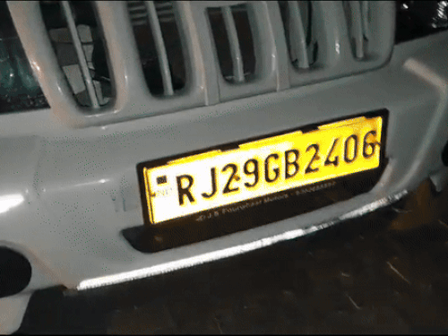 Gurugram: 4 vehicles carrying cow meat caught, cow smuggler-cow ...