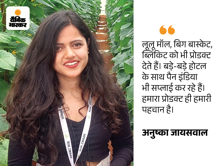 Shimla Mirch Ki Kheti; Lucknow Anushka Jaiswal (Capsicum Farming) Success Story | ग्रेजुएट ...